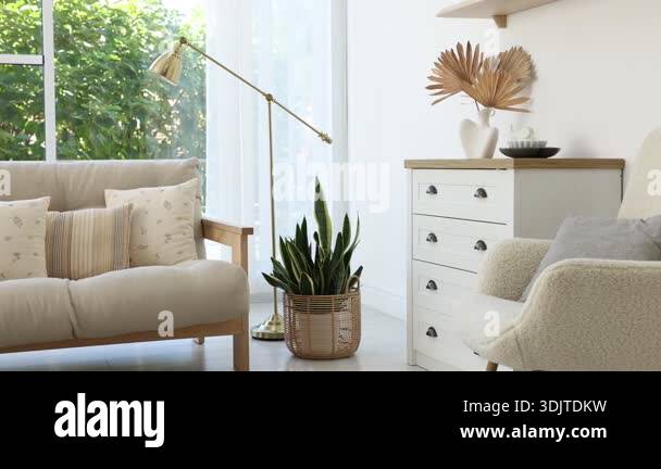 Beautiful living room with lamp, stylish furniture and plant, interior ...