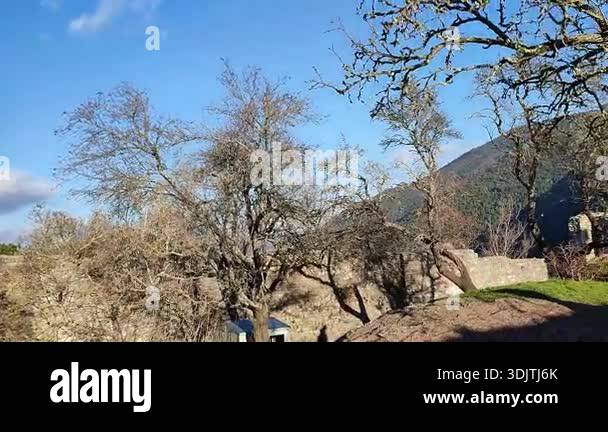 Assisi, Umbria, Italy January 10, 2026: Rocca Maggiore, a medieval ...