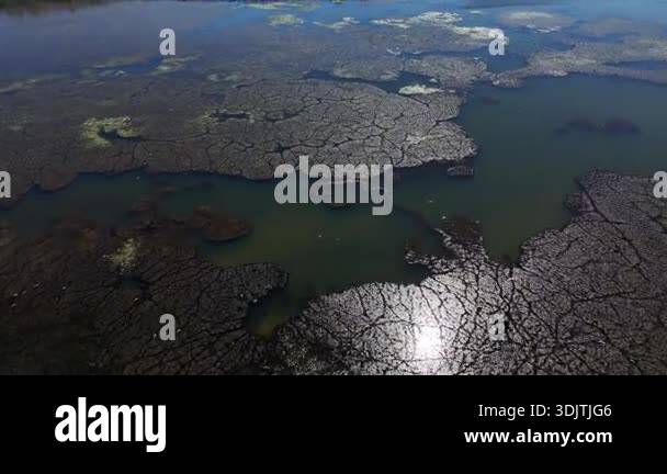 4k Drone Video: High angle shot of a bird soaring above a unique ...