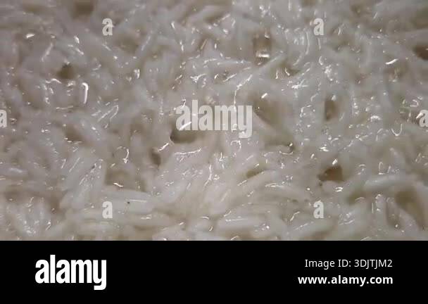 Detailed close-up of cooked jasmine rice, showcasing its unique grain ...