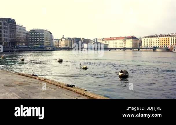 City buildings along the Rhone riverbank in Geneva Switzerland on ...
