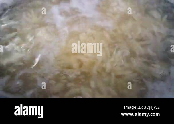 Shredded cabbage bubbling in a pot, showcasing its transformation in a ...