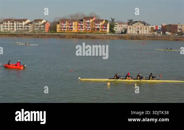 Multiple rowers on river with residential background Stock Video ...