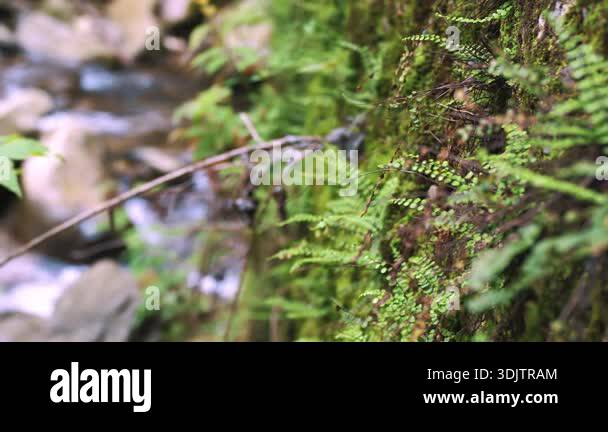 Girl walking along sandy beach by the river on a cool spring day ...