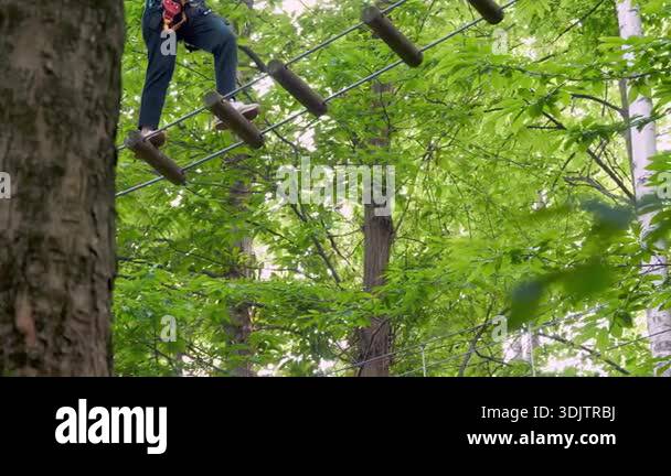 People overcoming obstacles in forest rope park adventure course ...