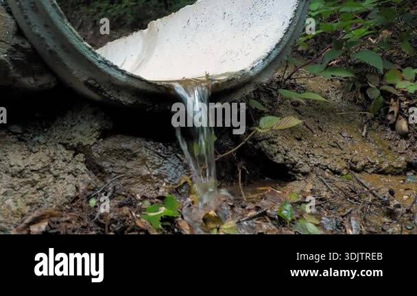Stone drainage channel system in summer forest park designed for flood ...