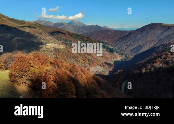 Dense forest canopy displaying bright seasonal shades of red and yellow ...