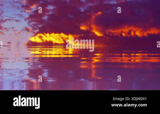 a bird flying over a body of water. High quality commercial stock video ...