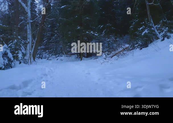 Desolate wintry landscape with empty snowbound road among snowdrifts ...