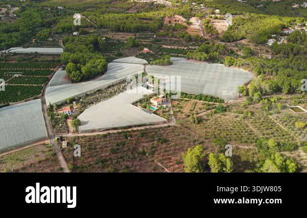 Aerial view of net-covered orchards and protected fruit gardens in ...