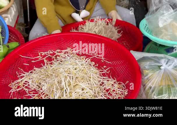 Close-up view of fresh bean sprouts in baskets at local market in ...