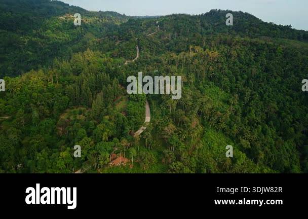 Aerial view of winding mountain road cutting through dense tropical ...