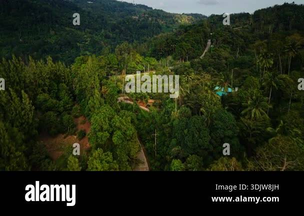 Aerial view of winding concrete road passing through dense tropical ...