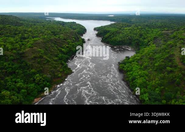 Serene River Channel Winding Through Dense Forest Canopy, Wide Aerial ...