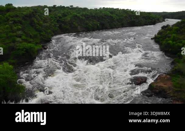 Wide River Rapids Cutting Through Rainforest Canopy, Drone View Of ...