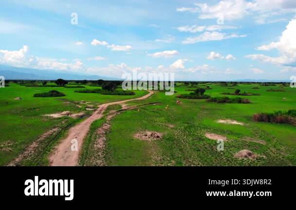 Winding Dirt Road Through Grassland Under Wide Blue Sky And Cloudscape ...