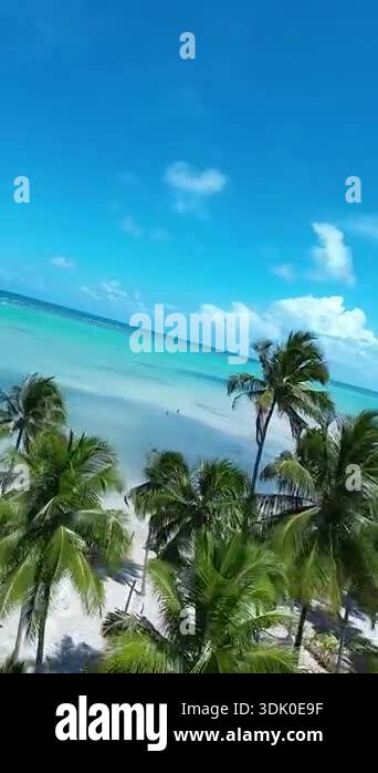 Antunes Beach At Maragogi In Alagoas Brazil. Tourism Landscape ...