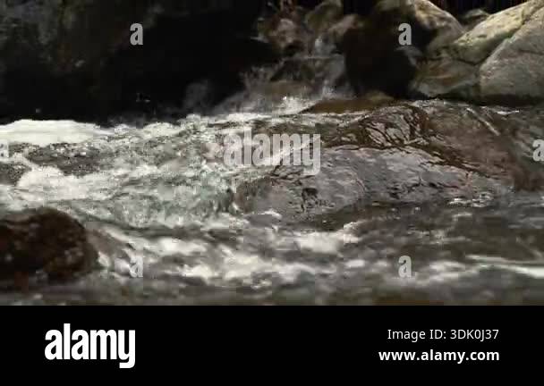 Wild mountain river with rapid current and crystal clear water flowing ...
