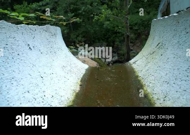 Natural stone drainage channel running through forest woodland in the ...