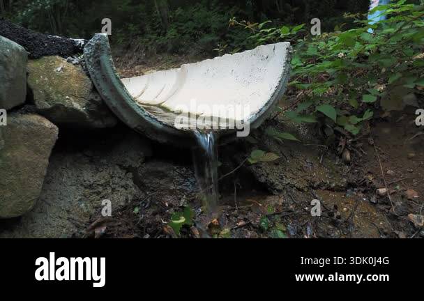 Tourist stepping across drainage channel in green Alpine forest park ...