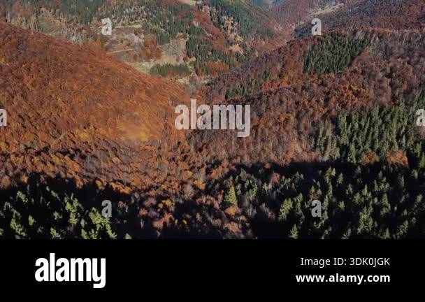 Drone panorama of Italian mountains in fall featuring vibrant forest ...