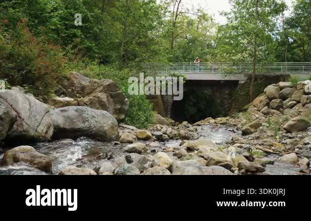 Old stone bridge over transparent mountain river in forest. Landscape ...