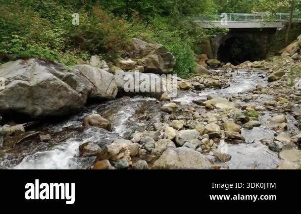 Stone bridge crossing fast mountain river in forest. Crystal clear ...
