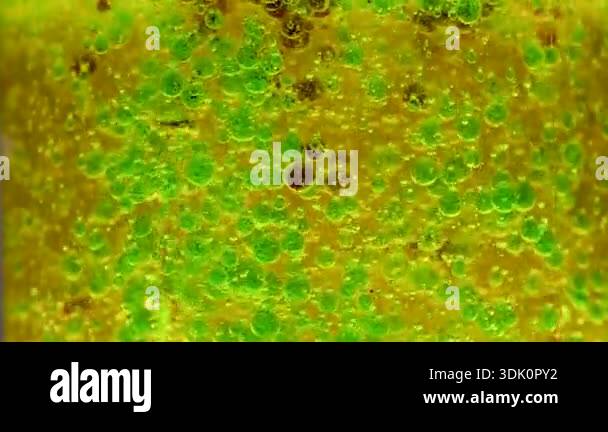 Vibrant chemical reaction with colorful bubbles in a beaker, showcasing ...