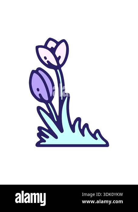 spinning motion animation of drawing of tulip flower Stock Video ...