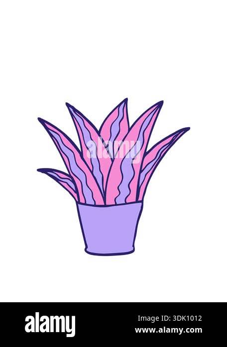 stretching up animation of house plant doodle Stock Video Footage - Alamy