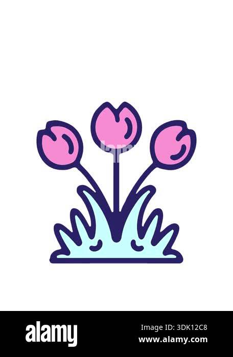 stretching up animation of simple tulip flower design Stock Video ...