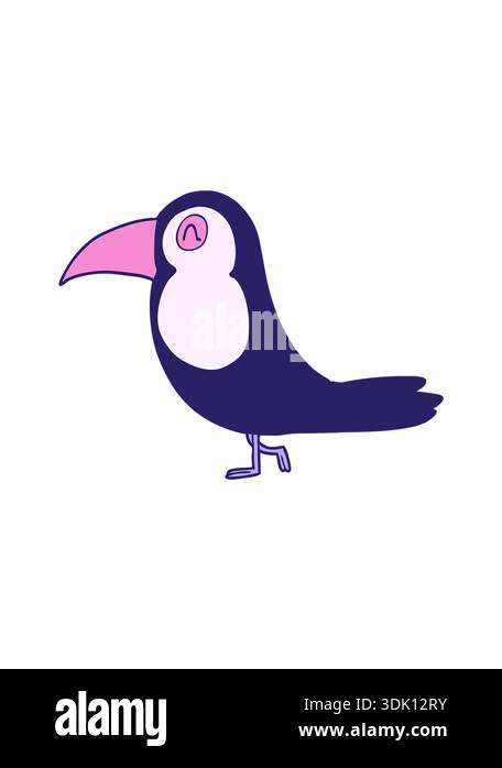 jiggle motion animation of simple toucan Stock Video Footage - Alamy