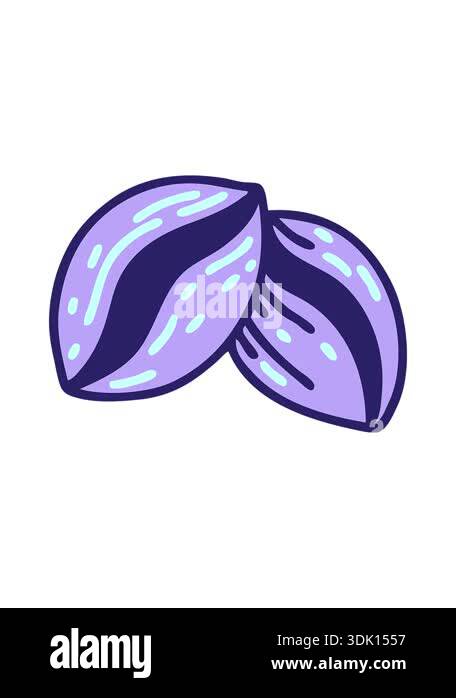 popping motion animation of tattoo in traditional style of coffee beans ...