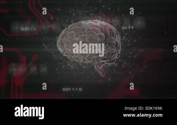 On load brain rotating pulses sweeping cortex circuit board visualizing ...