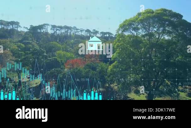 After stillness forest showing chart rising and icons emerging for ...