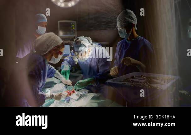 Lead surgeon making scalpel incision and coordinating team during ...
