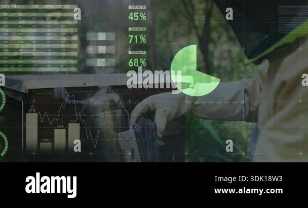 Senior beekeeper sliding hive lid and holding frame monitoring ...