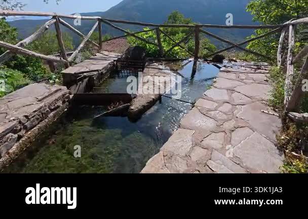 A traditional stone path appears through the forest beside a calm ...