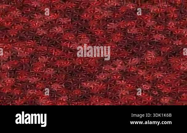 Closeup view of a red velvet carpet texture suitable as a background ...