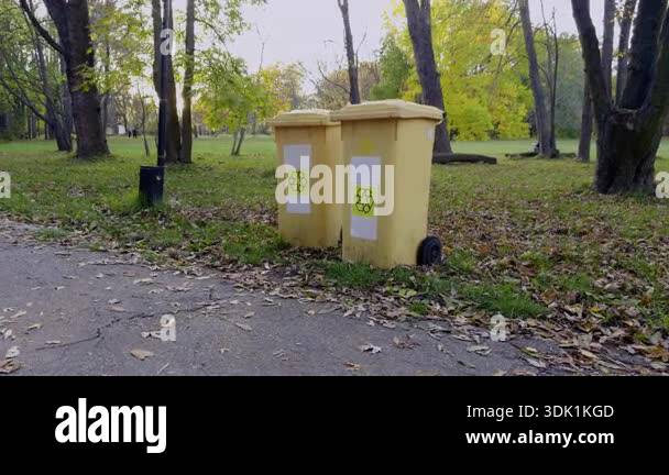 Two yellow recycling bins stand on a park pathway, surrounded by fallen ...