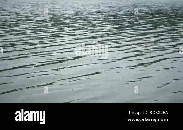 Convey texture Stock Videos & Footage - HD and 4K Video Clips - Alamy