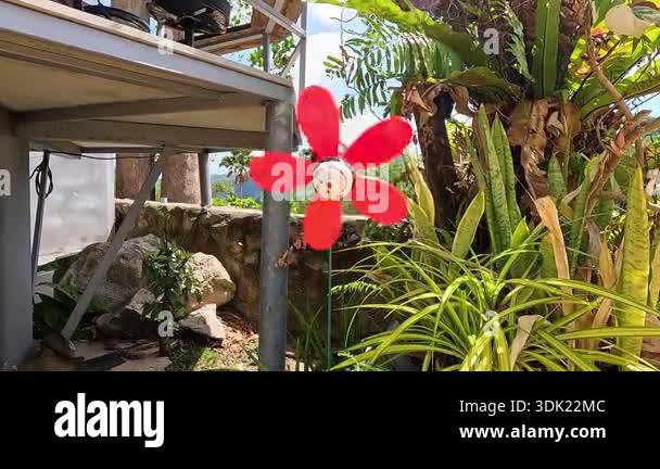 A vibrant red flower windmill spins in a lush tropical garden in Phuket ...