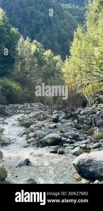 A fast-moving glacial stream winds over rocks through a lush, sunlit ...