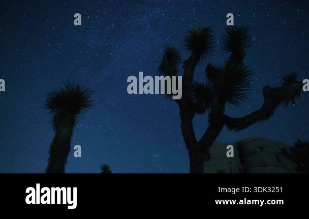 Joshua Tree National Park Milky Way Galaxy Rock Formation and Joshua ...
