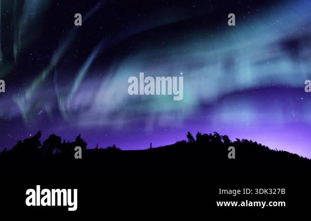 Celestial Harmonies Aurora and Starry Sky Above Mountain Forest Loop ...