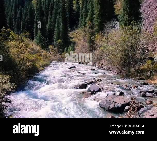 beautiful landscape with river and forest Stock Video Footage - Alamy