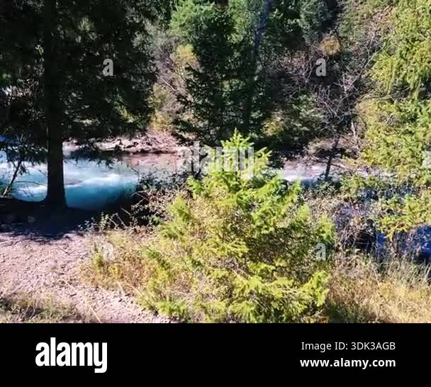 beautiful landscape with river and forest Stock Video Footage - Alamy