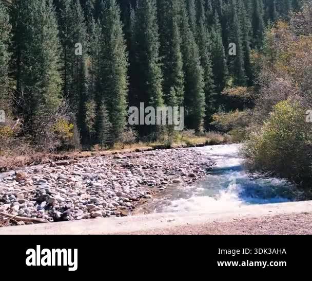 beautiful landscape with river and forest Stock Video Footage - Alamy