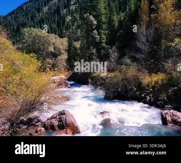 beautiful landscape with river and forest Stock Video Footage - Alamy