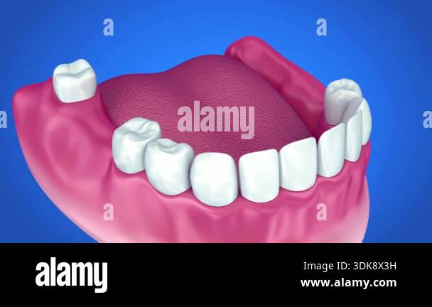 Realistic 3D illustration of human mouth showing healthy teeth and gums ...